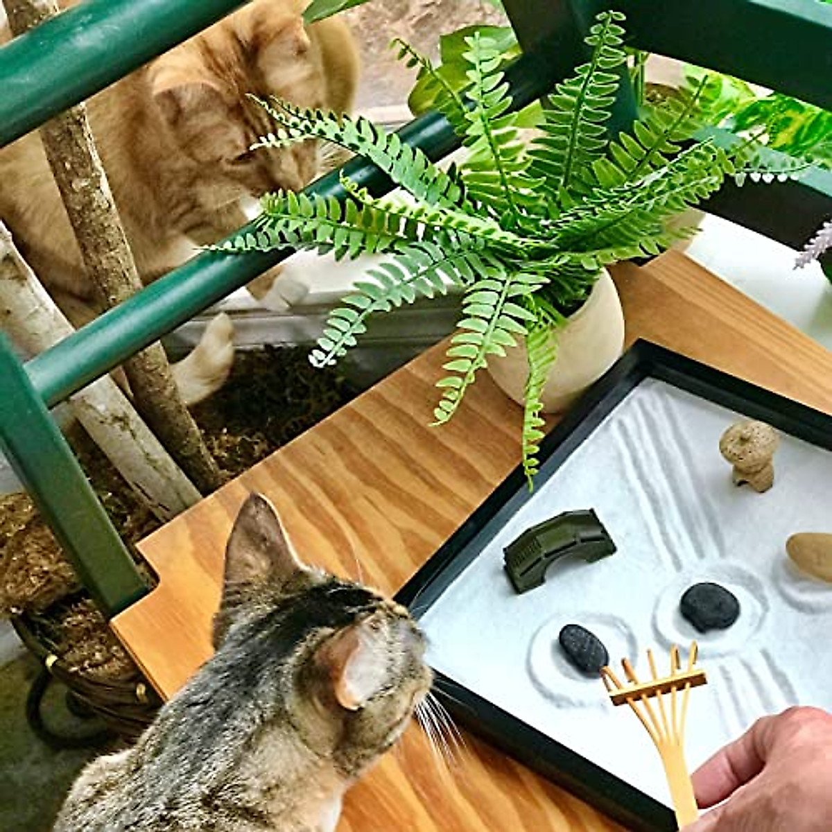 COCORO Japanese Zen Garden for Desk and Office Accessories Includes Zen Garden Sand, Rocks, Rake, Moss Stones, Fishes, Lantern, Bridge, and Origami