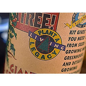 Giant Sequoia | Tree Seed Grow Kit | The Jonsteen Company