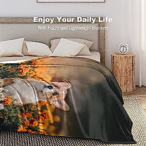 Corgi Pembroke Puppy Adventures Flannel Fleece Throw Blanket Soft Warm Lightweight Fuzzy Plush Blankets for Bed Couch Sofa 50"x60"