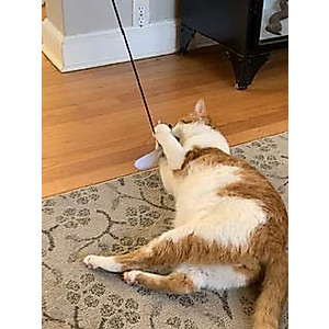 Get Buzzed Refillable Bee