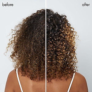 Klorane Conditioner with Organic Cupuaçu Butter, Nourishing & Repairing for Very Dry Damaged Hair, SLS/SLES-Free, Biodegradable, 6.7 fl. oz.