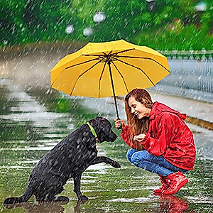 ZOMAKE Compact Travel Umbrella,10 Ribs Windproof Folding Umbrella, Automatic Small Umbrellas for Rain