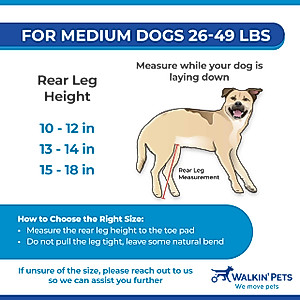 Walkin' Wheels Dog Wheelchair - for Medium Dogs 26-49 lbs - Veterinarian Approved - Dog Wheelchair for Back Legs