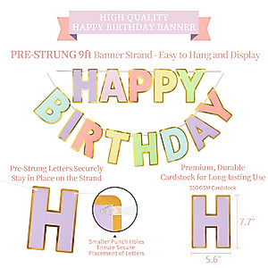 LITAUS, Birthday Decorations, NO DIY - Pack of 17 | Macaron Happy Birthday Banner, Honeycomb Balls, Swirls, Garland | Happy Birthday Decorations | Birthday Party Decorations