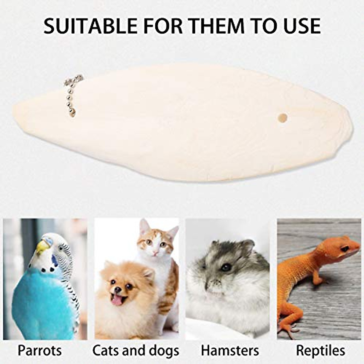 POPETPOP Bird Cuttlebone - Cuttlefish Bones Hanging Pendant Parrot Toy for Bird,Parakeets, Finches, Canaries, 3 Pcs Parakeet Cuttlebone Holder