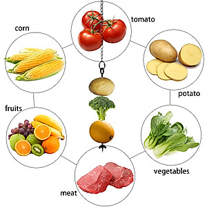 winemana 3PCS Chicken Veggies Skewer Fruit Holder for Hens Pet Chick, Coop Accessories Vegetable Hanging Feeder, Foraging Toy for Large Birds