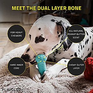 Playology Dual Layer Bone Dog Toy, for Large Dogs (35lbs and Up) - for Heavy Chewers - Engaging All-Natural Peanut Butter Scented Toy - Non-Toxic Materials