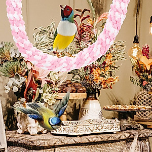 Alipis Sugar Glider Climbing Rope Parrot Tearing Toys Pet Toys Sugar Glider Swing Toy Sugar Glider Toy Bird Perches Chew Toy Hamster Cage Rat Toy Braided Rope Cotton Rope Small Animals