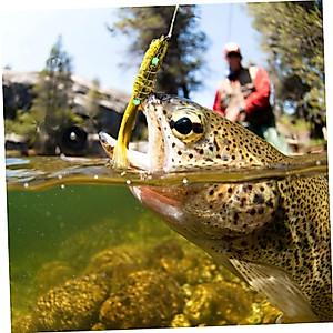 INOOMP 48 Pcs Fishing Cage Carbon Steel Carp Carp Feeder Cage Holder