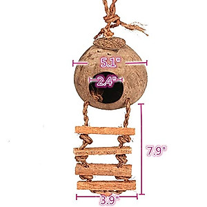 Hanging Bird House with Ladder,Natural Coconut Fiber Shell Bird Nest Breeding for Parrot Parakeet Lovebird Finch Canary,Coconut Hide Bird Swing Toys for Hamster,Bird Cage Accessories,Pet Bird Supplies