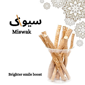 Miswak Sticks for Teeth Natural Herbal Toothbrush with Holder by SEWAK (10 Tooth Stick + 1 Holder)