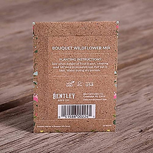 BENTLEY SEED CO. Oh Baby Flower Seeds Packets - Girl/Boy Baby Shower Favors - Pre-Filled, 25 Wildflower Seed Packs for Favor - Eco-Friendly Gift & Babys Guest Giveaways - Non-GMO Seeds - Brown Envelop