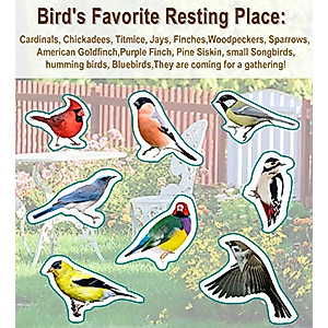 Garbuildman Upgraded 5-Prong Base Bird Bath with Metal Stake, Detachable Decoration Bowl Spa & Freestanding Birdfeeder for Outdoor Garden, Oval Style, Green