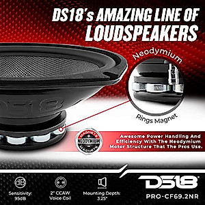 DS18 PRO-CF69.2NR 6 x 9 Inches Water Resistant Loudspeaker - Mid-Bass Carbon Fiber Cone and Neodymium Rings Magnet 600 Watts 2-Ohms - Ideal for Motorcycle & Motorsports (1 Speaker)