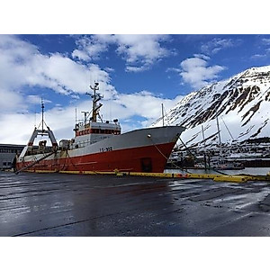 Icelandic+ Plus Redfish Skin Rolls Dog Treat 3-oz Bag