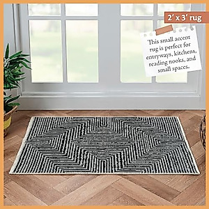 Indigo Ink - Washable Area Rug, Stain Resistant, Easy to Clean, Black/White Geometric Boho Decor, Dorm Room Essentials, for Living Room, Bedroom, Office (2' x 3', Panther Collection)