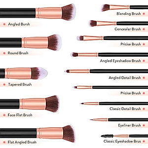 Makeup Travel Case, Makeup Case with DIY Adjustable Divider Cosmetic Train Bag 10.3" Organizer Contain 14pcs Premium Makeup Brushes 3 pcs Makeup Sponge Clear Makeup Bag Women GIft Set