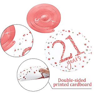 Birthday Party Decorations, Birthday Party Rose Gold Hanging Swirls Ceiling Decorations Shiny Foil Swirls for Birthday Decorations Supplies 30 Count (21 Style)