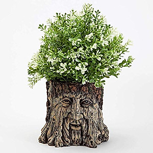 Bits and Pieces - Tree Face Garden Planter - Durable Polynesian Indoor-Outdoor Urn for Plants - Forest Inspired Whimsical Garden Décor