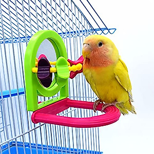 Bird Mirror Toys with Paddle Wheels and Perch for arrot Budgies Parakeet Cockatiels Conure Lovebirds