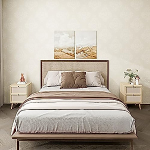 Rattan Nightstand Set of 2, End Table rattan bedside table Side Table with 2 Hand Made Rattan Decorated Drawers Wood Accent Table with Storage 2-Drawer for Bedroom, Living Room, Natural 2 Pack