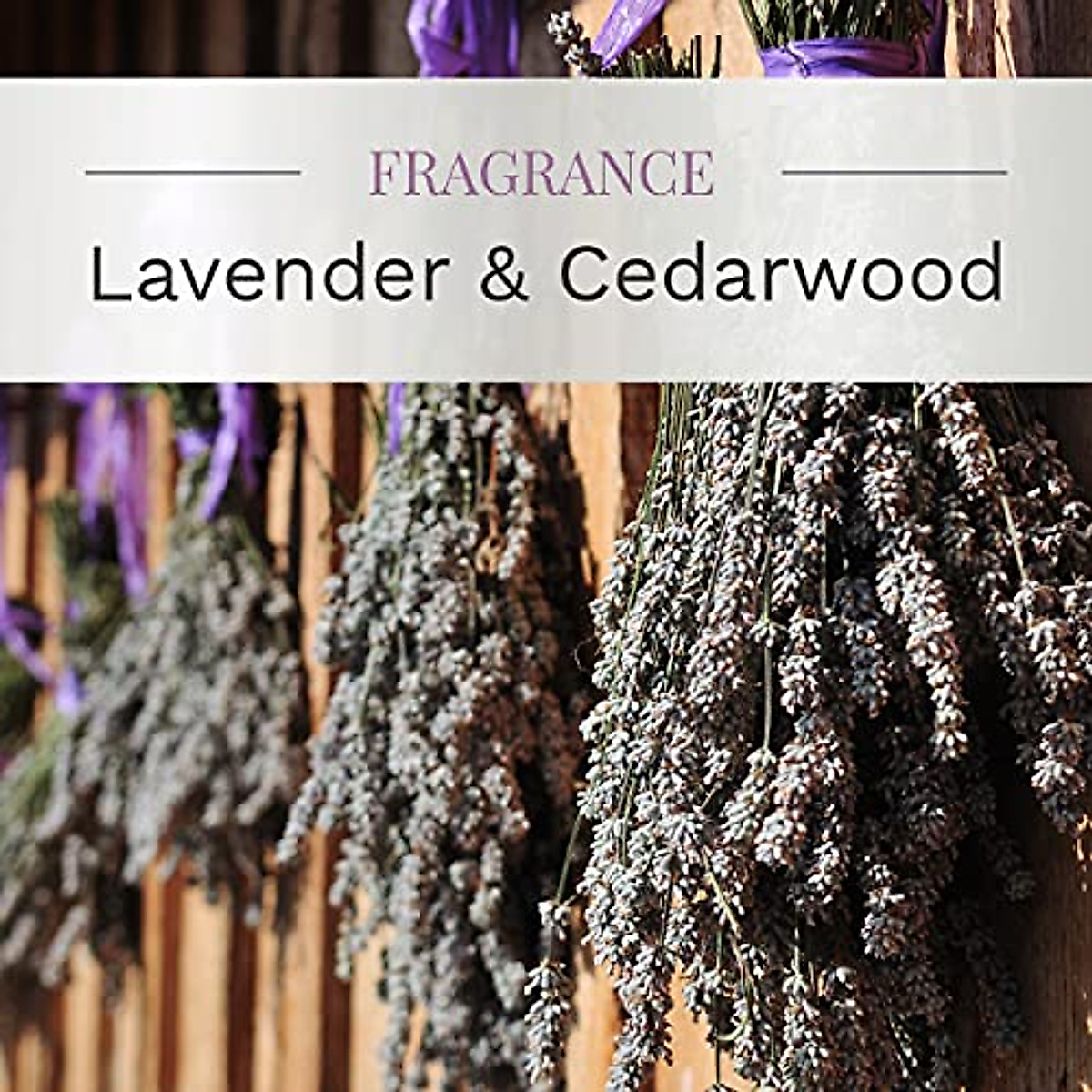 Essential Elements Lavender and Cedarwood Single-Wick Aromatherapy Candle with 50 Hours of Burn Time, 9 oz. Jar, Off White