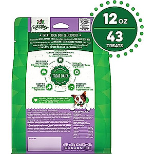 Gn Flavors Blueberry 12oz Teenie 43ct