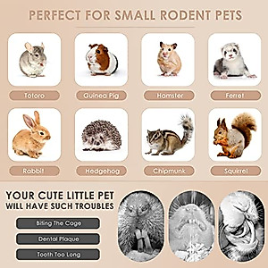 Bissap 700g/1.5Ib Sweet Bamboo Chew Sticks for Rabbits, Bunny Chew Sticks for Rabbits Hamster Chinchilla Guinea Pigs Rabbit Small Animals Natural Treats Teeth Grinding Chew Toys