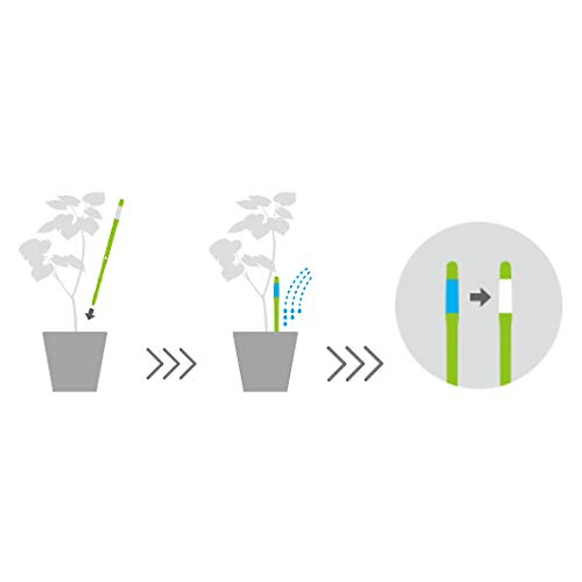 Sustee Aquameter, Set of 5, Plant Soil Moisture Sensor (Green, Small)