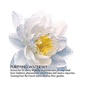 Dior La Mousse Off/On Foaming Face Cleanser, 5.0 Ounce