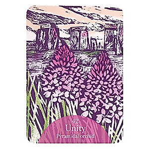 The Language of Flowers Oracle: Sacred botanical guidance and support (44 Full-Color Cards and 144-Page Guidebook) (Rockpool Oracle Card Series)