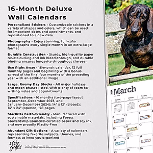 The Beauty of Dachshunds | 2024 14 x 24 Inch Monthly Deluxe Wall Calendar | Sticker Sheet | StarGifts | Animal Dog Breeds