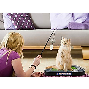 Pets First New York Mets Baseball Cat Scratcher Toy