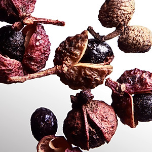 Davidoff Cool Water Wave Eau de Toilette 4.2 fl oz