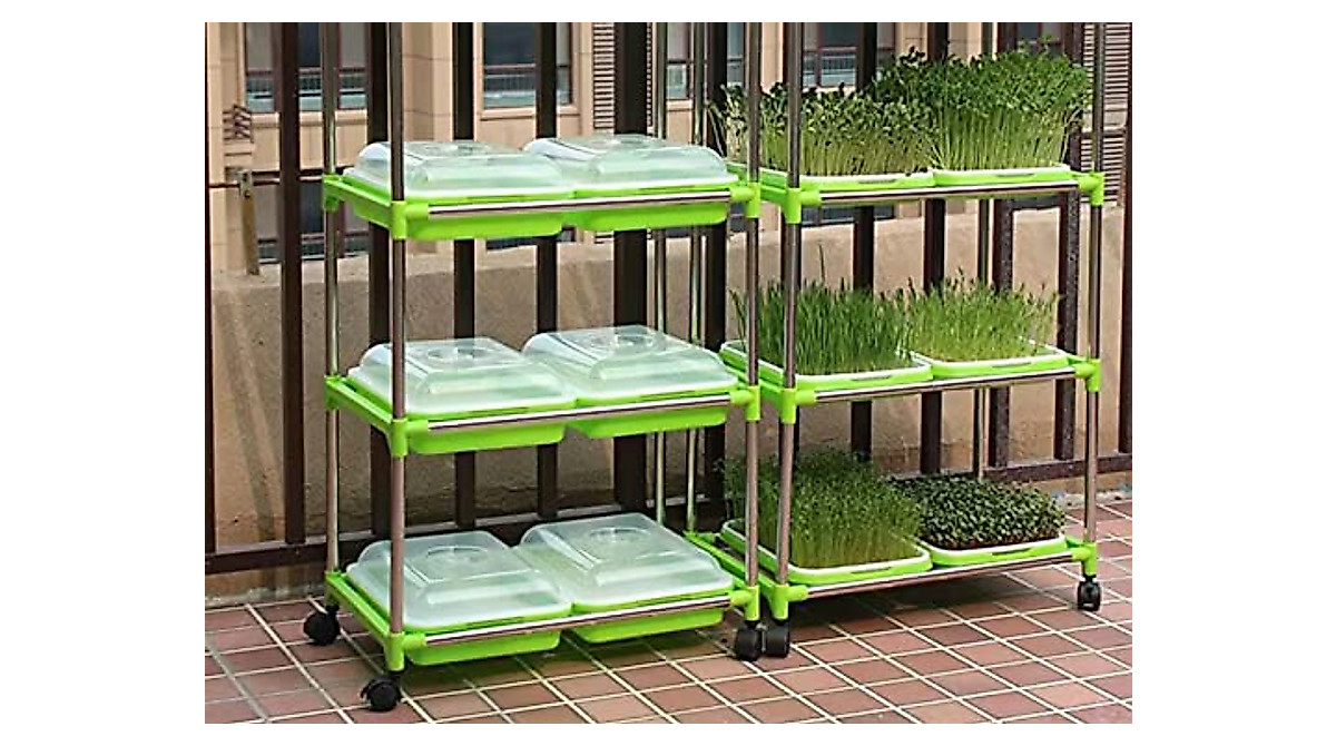 JMESTOHP 3-Layer Seed Sprouting Kit - Grow Fresh Sprouts
