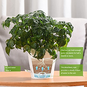 Qaobo Plant Pots 6 PCS 5 inch Self Watering Planters High Drainage Flowers Pot for Indoor Outdoor Plants with Reservoir Tray and Watering Lip Gardening Planter Garden Flower Pots, White