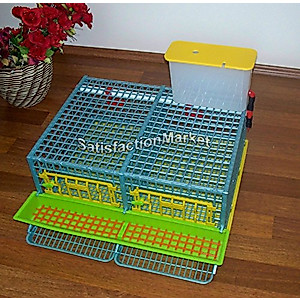 Quail Cage Two Compartment, The Patented Design, First in The World, Professional Quail Egg cage