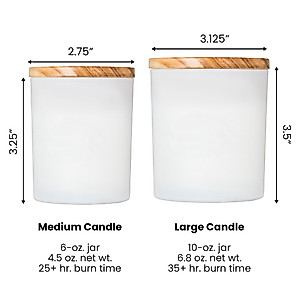 SweetHollow One Day at a Time Candle Gift, Inspirational Mantra, Spirituality, Recovery, Sobriety, Highly Scented & Long Lasting Coconut Wax, Vanilla & Cinnamon Fragrance, Large