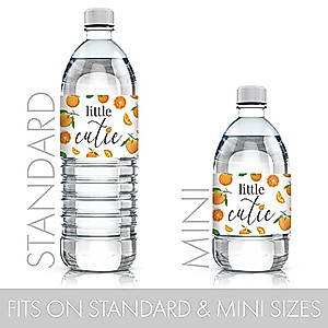 Little Cutie Baby Shower Water Bottle Labels, 24 Count