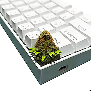 Custom Keycap for Mechanical Gaming Keyboard - Design Marijuana Buds - Artisan Cherry MX Made in Resin with Universal Compatibility - Unique Gift Idea, Green Brown Orange