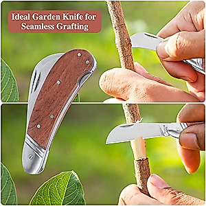 BaiCarre Pruning Knife, Double Blade Grafting Knife, Stainless Steel Garden Budding Knife, Folding Pocket Knife for Grafting Multi Cutting Tool, Weed Bushes Branches Mushroom Diggig Knife