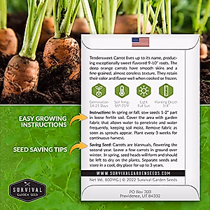 Survival Garden Seeds - Tendersweet Carrot Seed for Planting - Packet with Instructions to Plant and Grow Long Crunchy Orange Carrots in Your Home Vegetable Garden - Non-GMO Heirloom Variety