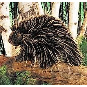Folkmanis Porcupine Hand Puppet