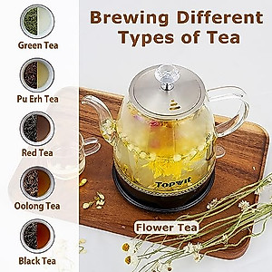 Topwit Electric Kettle, Electric Tea Kettle with Automatic Sprinkling for Tea-brewing, Keep Warm and Dual Modes Electric Tea Maker, 1L Pour Over Teapot & Hot Water Kettle with Stainless Steel Infuser