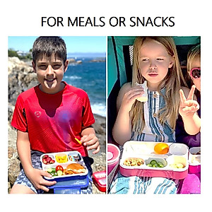 Bento Lunch-Box for Kids and Adults: Leakproof Lunch Boxes with 4 Compartments, Divided Containers for Boys Girls Women Men - School Work Portion Container, Utensils, Blue + Rose Pink Set