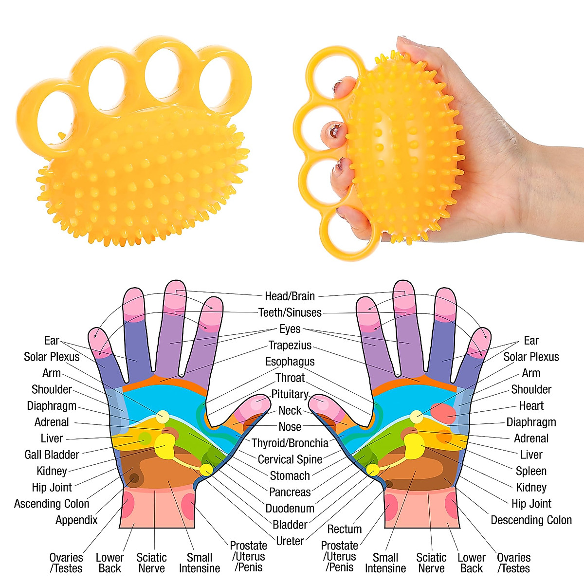 Exercise Handball, Hand Strengthener Ball, Palm and Finger Rehabilitation Therapy. Auxiliary Item After Surgery, Arthritis and Carpal Tunnel Syndrome