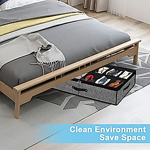 Meerainy Under Bed Shoe Storage Organizer for Closet 2 Pack- Fits 24 Pairs Underbed Shoes Container Boxes with 2 Sturdy Handles and Clear Window,Foldable Shoe Rack Holder,Black