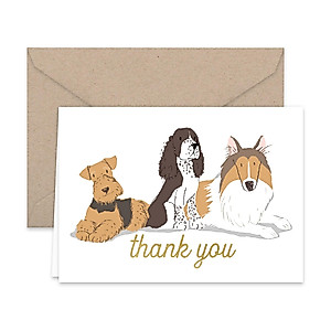 Paper Frenzy Dogs Puppies Thank You Note Card Collection 25 pack with Kraft Envelopes