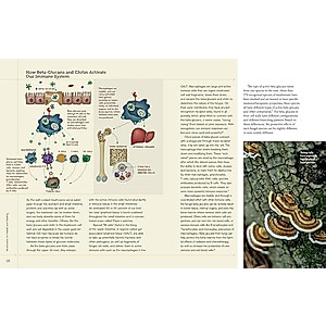 Christopher Hobbs's Medicinal Mushrooms: The Essential Guide: Boost Immunity, Improve Memory, Fight Cancer, Stop Infection, and Expand Your Consciousness