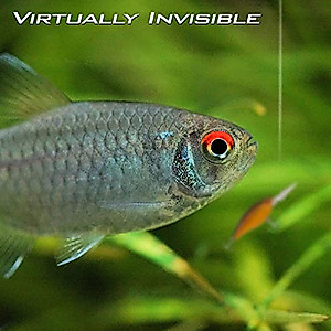 KastKing DuraBlend Monofilament Leader Line - Premium Saltwater Mono Leader Materials - Big Game Spool Size 120Yds/110M